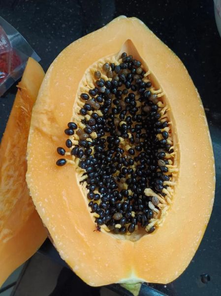 木瓜炖奶成豆腐渣了还能吃吗_木瓜炖奶失败原因-第3张图片-山城妙识