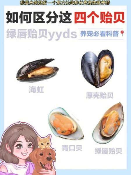 青口贝是海虹吗_区别与选购技巧-第1张图片-山城妙识 青口贝是海虹吗_区别与选购技巧-第1张图片-山城妙识