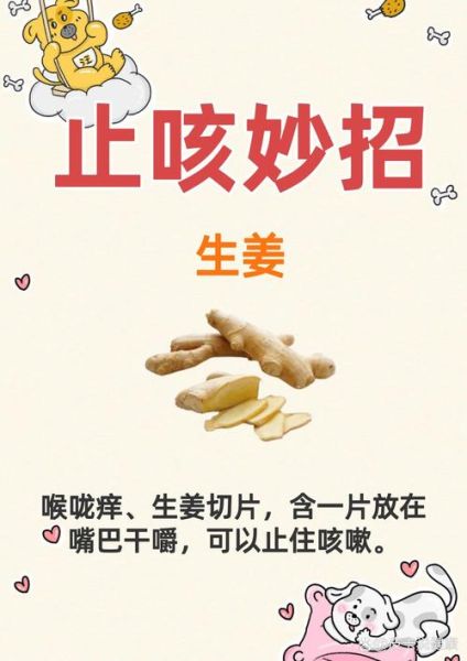 干咳止咳最快的偏方大全_什么方法立刻见效-第1张图片-山城妙识 干咳止咳最快的偏方大全_什么方法立刻见效-第1张图片-山城妙识