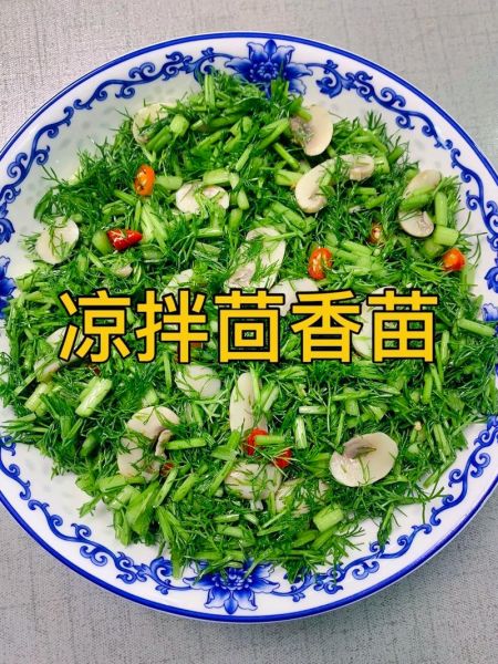凉拌茴香苗怎么做好吃_凉拌茴香苗用焯水吗-第1张图片-山城妙识