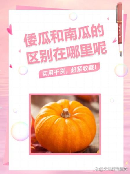 倭瓜和南瓜的区别_倭瓜怎么做好吃-第1张图片-山城妙识 倭瓜和南瓜的区别_倭瓜怎么做好吃-第1张图片-山城妙识