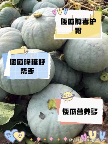 倭瓜和南瓜的区别_倭瓜怎么做好吃-第3张图片-山城妙识 倭瓜和南瓜的区别_倭瓜怎么做好吃-第3张图片-山城妙识