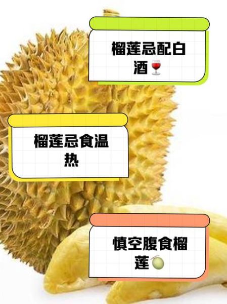 吃榴莲的好处和禁忌有哪些_孕妇能吃榴莲吗-第2张图片-山城妙识