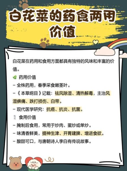 百花菜的功效与作用_百花菜怎么吃最养生-第1张图片-山城妙识 百花菜的功效与作用_百花菜怎么吃最养生-第1张图片-山城妙识