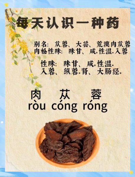 苁蓉有什么功效_苁蓉补肾壮阳怎么吃-第2张图片-山城妙识