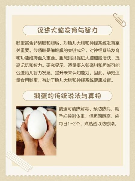 孕妇吃鹅蛋有什么好处_鹅蛋对孕妇的功效与作用-第1张图片-山城妙识