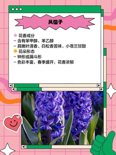 十大最香的花有哪些_如何挑选最香的花-第1张图片-山城妙识