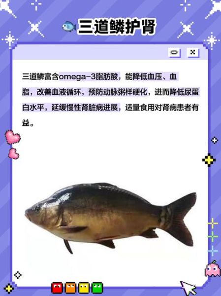 三道鳞不能和什么一起吃_孕妇能吃三道鳞吗-第2张图片-山城妙识 三道鳞不能和什么一起吃_孕妇能吃三道鳞吗-第2张图片-山城妙识