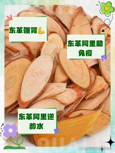 东革阿里的功效与作用_东革阿里怎么吃效果最好-第1张图片-山城妙识