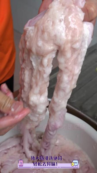 猪大肠怎么洗_猪大肠清洗方法-第2张图片-山城妙识 猪大肠怎么洗_猪大肠清洗方法-第2张图片-山城妙识