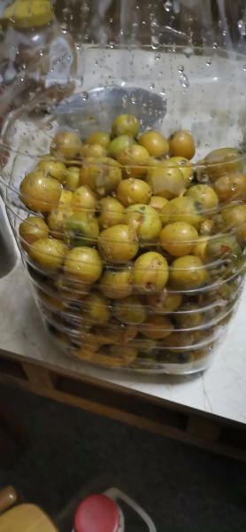 水果泡酒用什么酒最好_水果泡酒多久可以喝-第3张图片-山城妙识