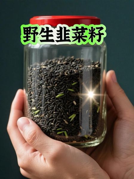 炒韭菜籽的功效与作用_怎么吃效果最好-第1张图片-山城妙识 炒韭菜籽的功效与作用_怎么吃效果最好-第1张图片-山城妙识