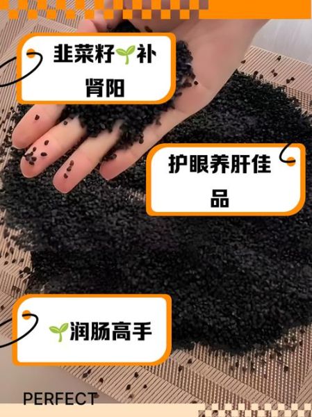 炒韭菜籽的功效与作用_怎么吃效果最好-第3张图片-山城妙识 炒韭菜籽的功效与作用_怎么吃效果最好-第3张图片-山城妙识