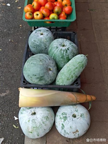 节瓜是什么_节瓜和冬瓜的区别-第1张图片-山城妙识