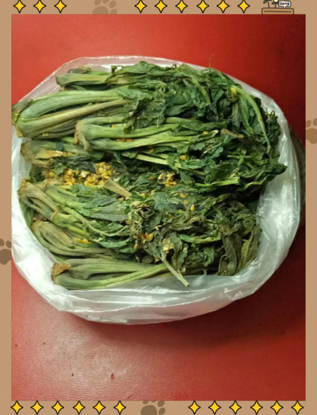 咸香椿怎么保存_咸香椿腌制多久能吃-第1张图片-山城妙识