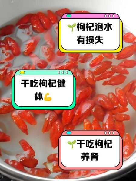 枸杞怎么吃最好吸收_枸杞泡水还是干吃-第1张图片-山城妙识