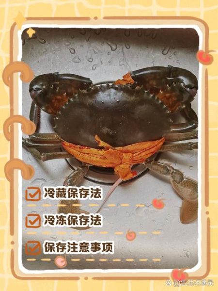 蒸螃蟹吃不完怎么保存_熟螃蟹冷藏还是冷冻-第2张图片-山城妙识