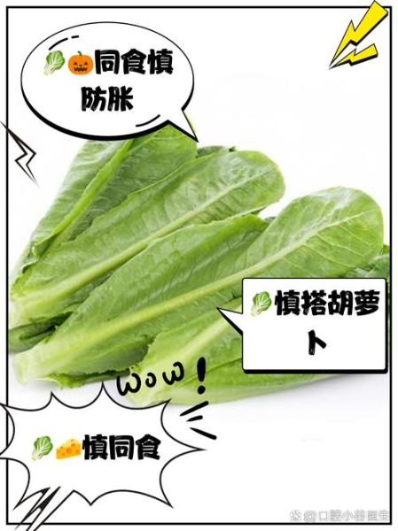 哪些人不宜吃油麦菜_油麦菜禁忌人群-第2张图片-山城妙识