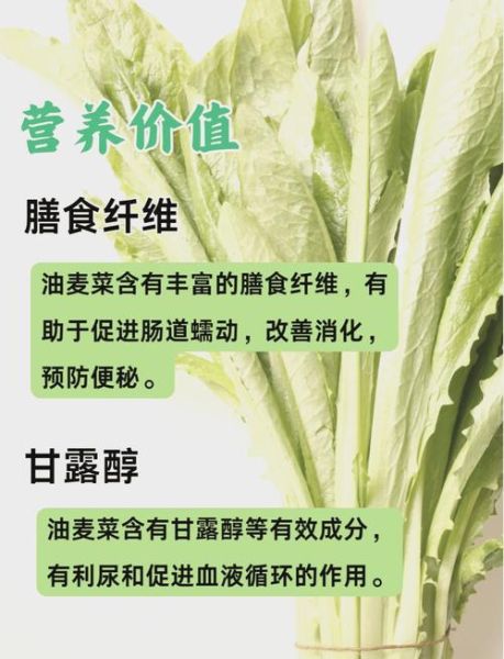 哪些人不宜吃油麦菜_油麦菜禁忌人群-第1张图片-山城妙识