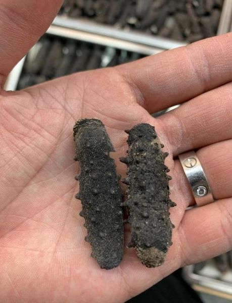 淡干海参怎么泡发_淡干海参泡发多久-第3张图片-山城妙识 淡干海参怎么泡发_淡干海参泡发多久-第3张图片-山城妙识