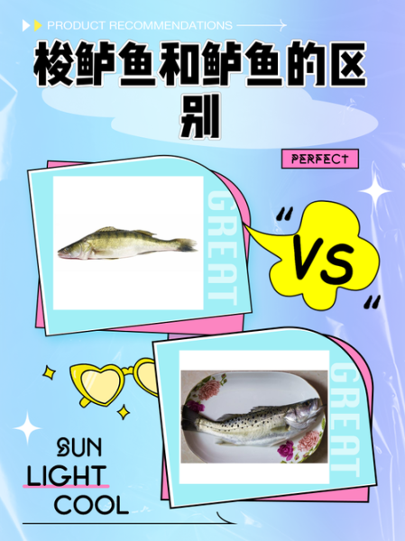 海梭鱼和海水梭鱼区别图片_怎么分辨-第2张图片-山城妙识 海梭鱼和海水梭鱼区别图片_怎么分辨-第2张图片-山城妙识