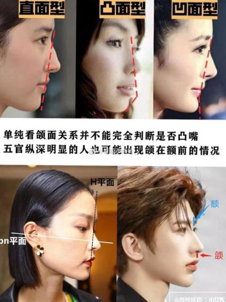 颌怎么读_颌字发音及常见误区-第2张图片-山城妙识 颌怎么读_颌字发音及常见误区-第2张图片-山城妙识