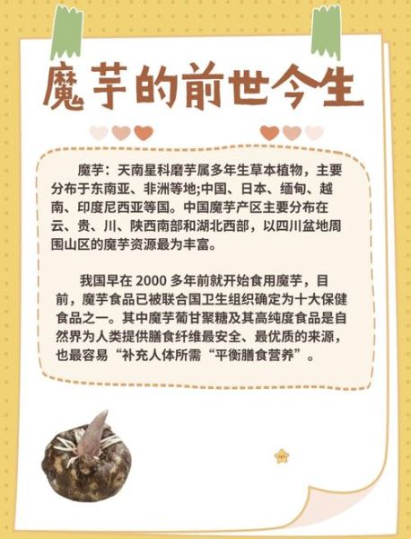 魔芋是什么梗_魔芋梗出处及含义-第3张图片-山城妙识 魔芋是什么梗_魔芋梗出处及含义-第3张图片-山城妙识