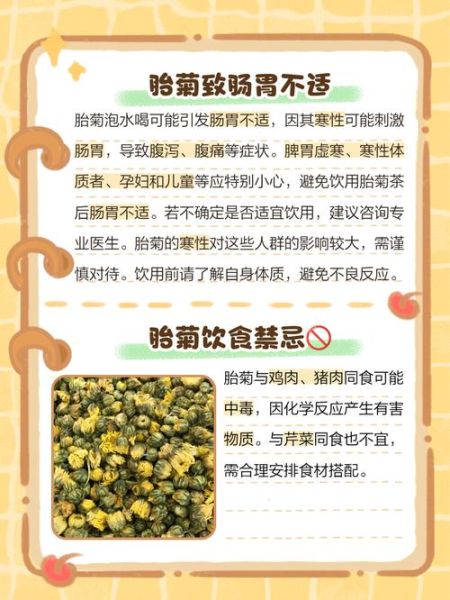 孕妇能喝菊花茶吗_对胎儿有影响吗-第1张图片-山城妙识