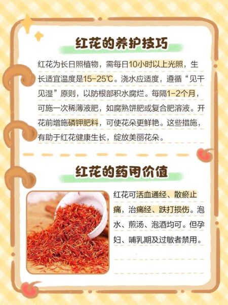 红花的作用和功效_红花怎么用效果最好-第3张图片-山城妙识