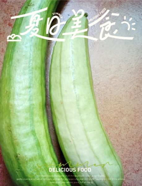 白瓜图片蔬菜_白瓜和冬瓜的区别-第2张图片-山城妙识 白瓜图片蔬菜_白瓜和冬瓜的区别-第2张图片-山城妙识