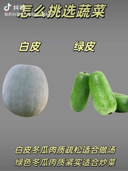 白瓜图片蔬菜_白瓜和冬瓜的区别-第1张图片-山城妙识 白瓜图片蔬菜_白瓜和冬瓜的区别-第1张图片-山城妙识