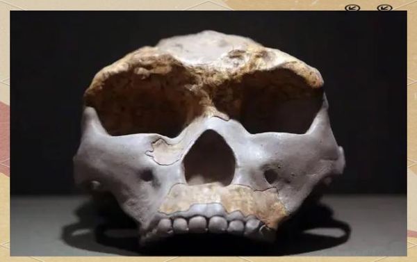 元谋人图片_元谋人化石年代-第3张图片-山城妙识