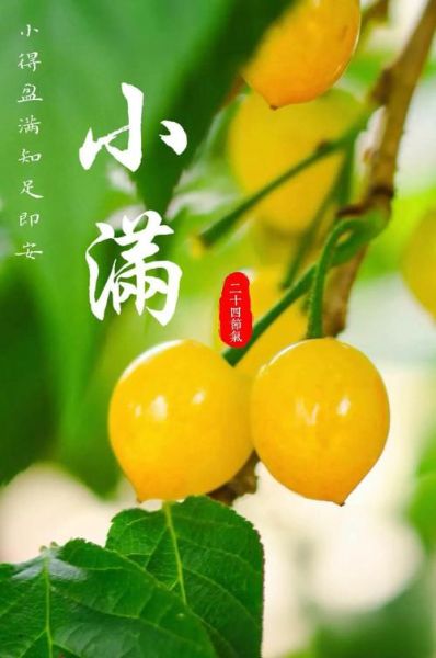 小满吃什么水果_小满节气水果推荐-第2张图片-山城妙识