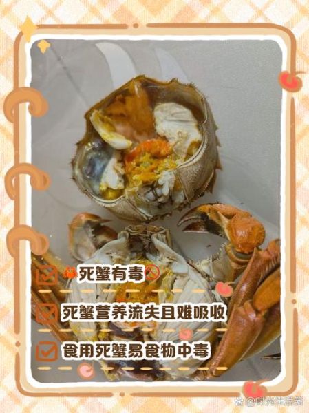 活河蟹死了多久不能吃_河蟹死后多久有毒-第1张图片-山城妙识 活河蟹死了多久不能吃_河蟹死后多久有毒-第1张图片-山城妙识