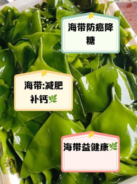 海带根须有什么功效_海带根须怎么食用-第3张图片-山城妙识