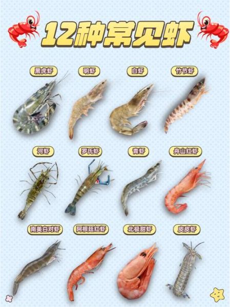 虾的种类有哪些_如何区分常见虾品种-第1张图片-山城妙识