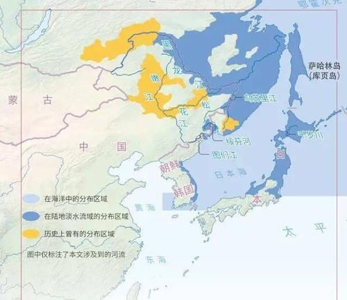 大马哈鱼洄游路线_大马哈鱼洄游原因-第1张图片-山城妙识