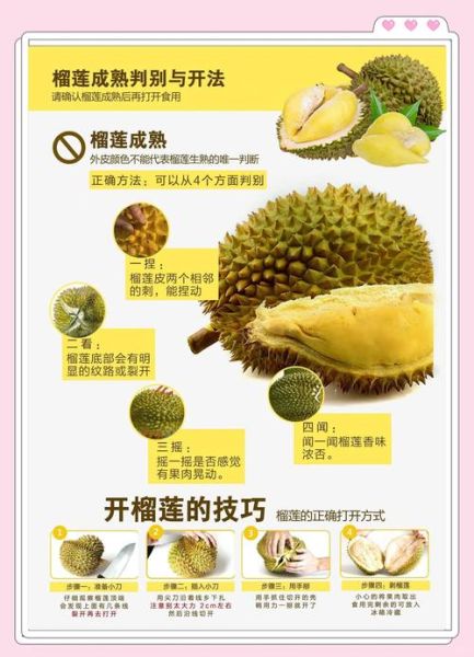 榴莲没开口能吃吗_如何判断榴莲成熟-第1张图片-山城妙识 榴莲没开口能吃吗_如何判断榴莲成熟-第1张图片-山城妙识