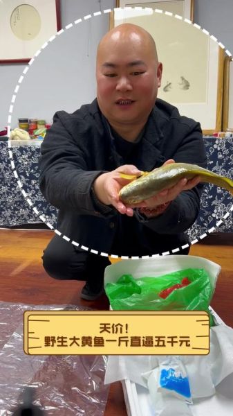 野生大黄鱼价格多少钱一斤_野生大黄鱼为什么这么贵-第1张图片-山城妙识
