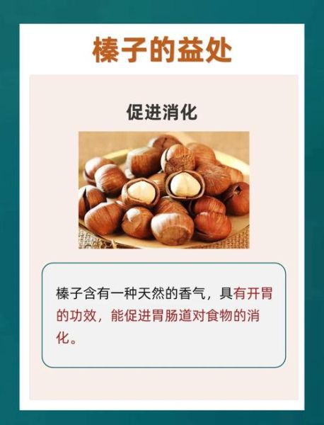 大榛子的功效与作用及禁忌_大榛子一天吃多少合适-第1张图片-山城妙识 大榛子的功效与作用及禁忌_大榛子一天吃多少合适-第1张图片-山城妙识