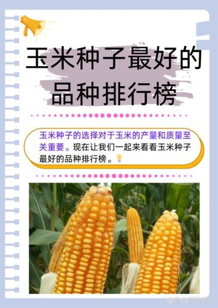玉米种子多少钱一斤_玉米种子价格影响因素-第1张图片-山城妙识