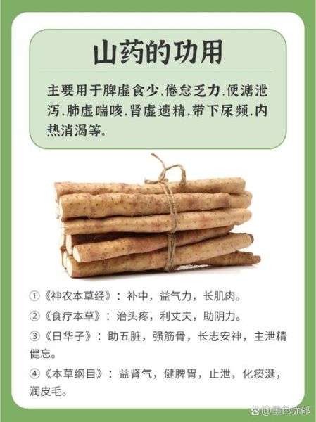 山药的功效与作用及禁忌_哪些人不能吃-第1张图片-山城妙识