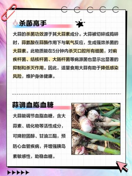 长期吃大蒜的女人有什么好处_长期吃大蒜的女人有什么坏处-第2张图片-山城妙识