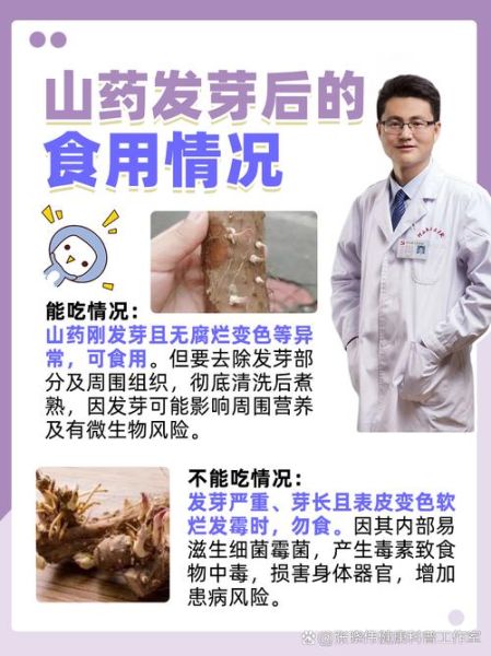 山药豆发芽了以后还能吃吗_发芽山药豆有毒吗-第1张图片-山城妙识
