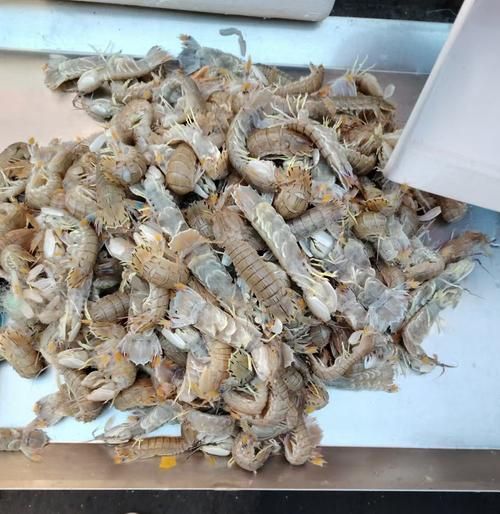 虾爬子怎么蒸_蒸多久才熟-第2张图片-山城妙识 虾爬子怎么蒸_蒸多久才熟-第2张图片-山城妙识