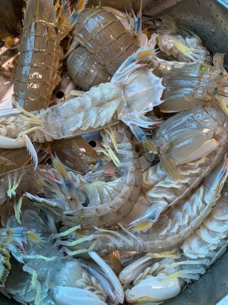 虾爬子怎么蒸_蒸多久才熟-第1张图片-山城妙识 虾爬子怎么蒸_蒸多久才熟-第1张图片-山城妙识