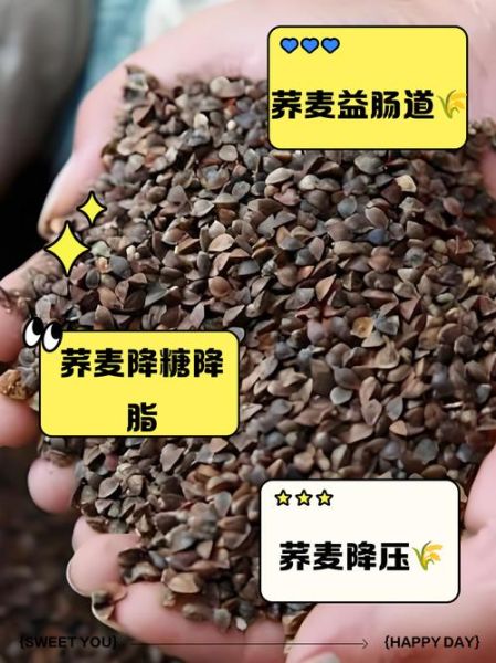 荞麦的功效与作用及禁忌_什么人不能吃-第1张图片-山城妙识 荞麦的功效与作用及禁忌_什么人不能吃-第1张图片-山城妙识