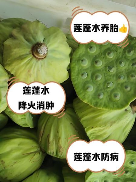 莲蓬水的功效与副作用_孕妇能喝吗-第1张图片-山城妙识 莲蓬水的功效与副作用_孕妇能喝吗-第1张图片-山城妙识