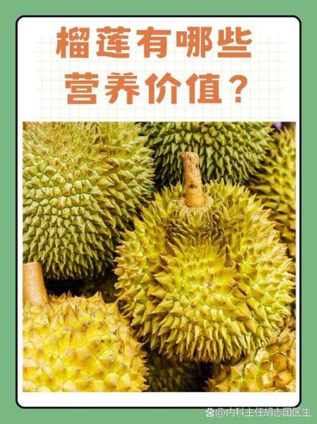 吃榴莲的好处与坏处有哪些_榴莲营养价值高吗-第3张图片-山城妙识 吃榴莲的好处与坏处有哪些_榴莲营养价值高吗-第3张图片-山城妙识