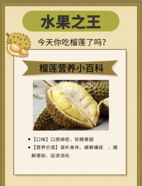 吃榴莲的好处与坏处有哪些_榴莲营养价值高吗-第2张图片-山城妙识 吃榴莲的好处与坏处有哪些_榴莲营养价值高吗-第2张图片-山城妙识